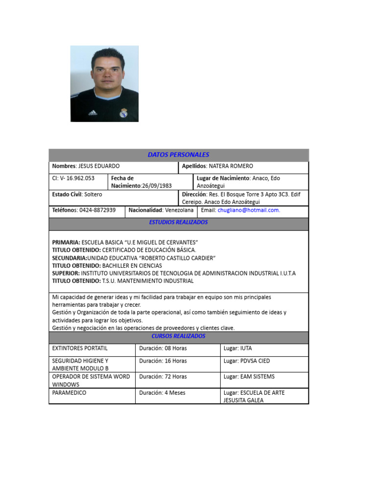 CV Jesus Natera | PDF