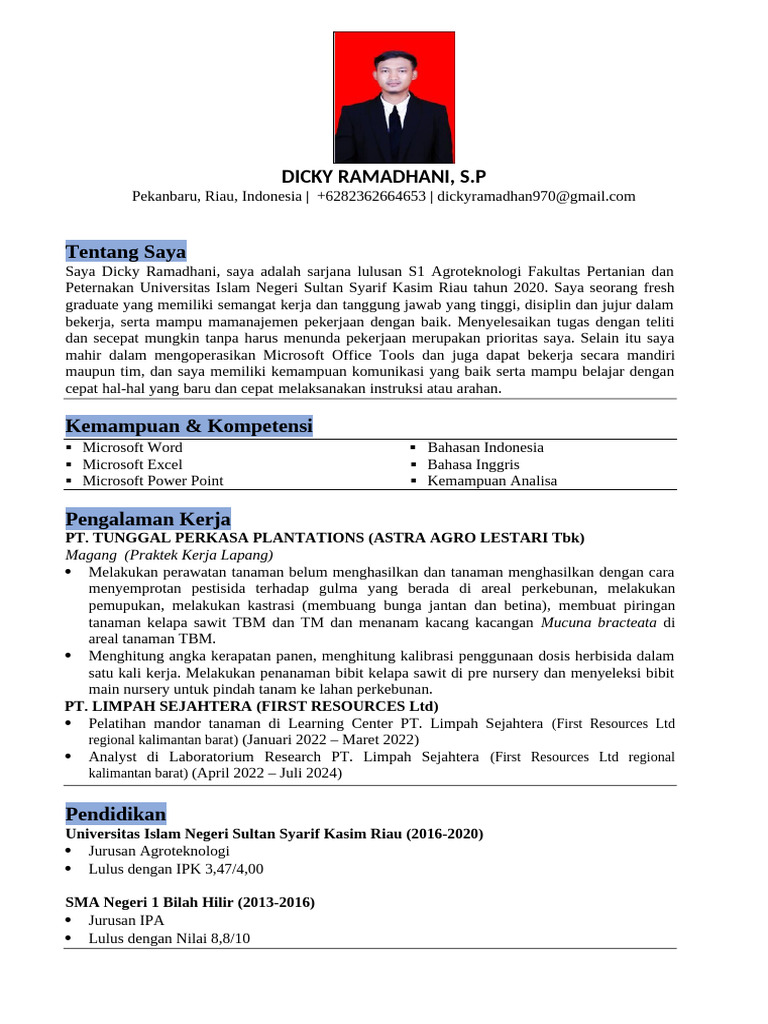 CV Dicky Ramadhani 2024 | PDF