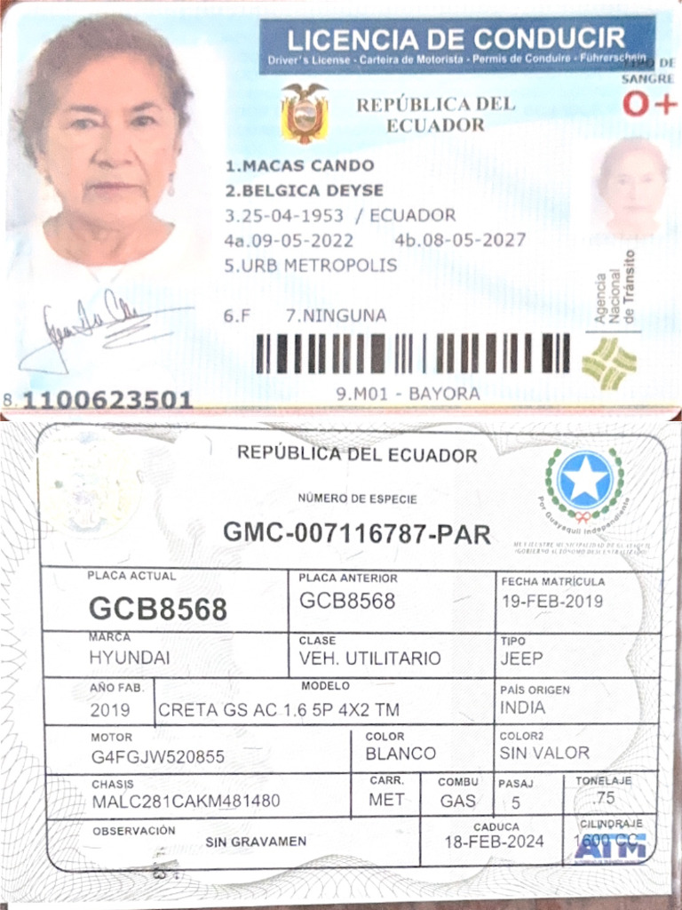 Licencia y Matrícula Deyse Macas | PDF