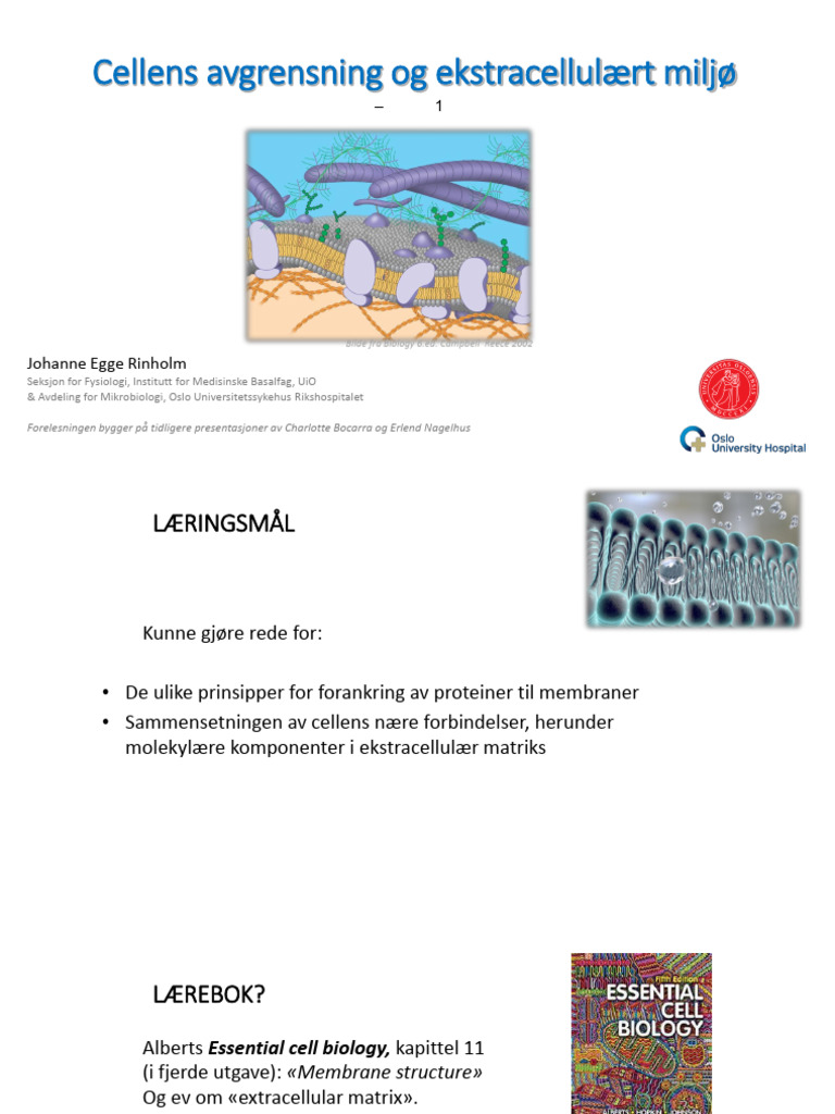 Cellens Avgrensning Og Ekstracellulært Miljø | PDF