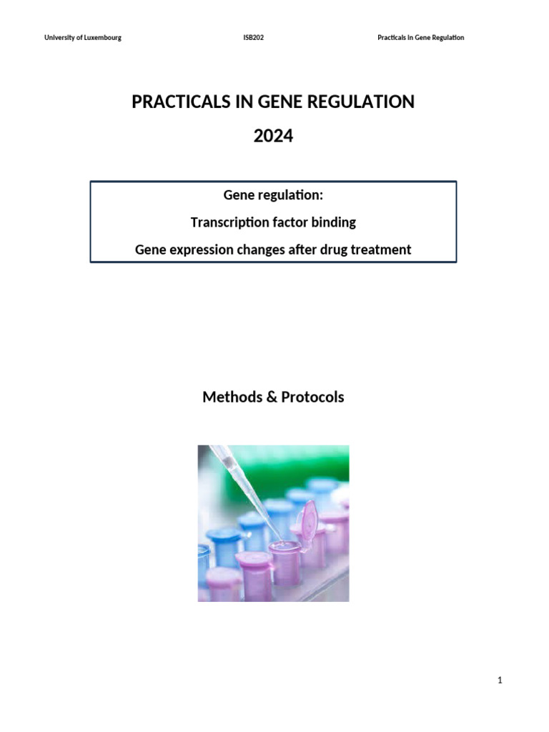 Practical in Gene Regulation Handout 2024 | PDF | Real Time Polymerase ...