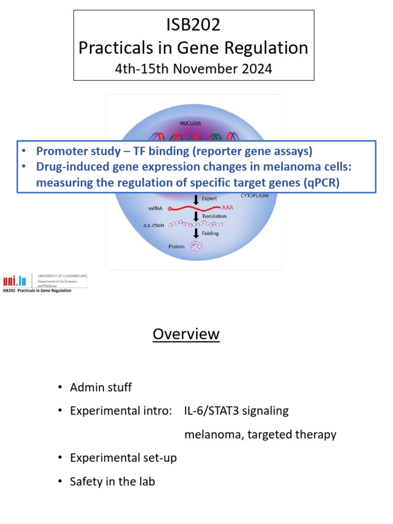 Lecture Practicals in Gene Regulation Intro 2024 | PDF | Melanoma ...