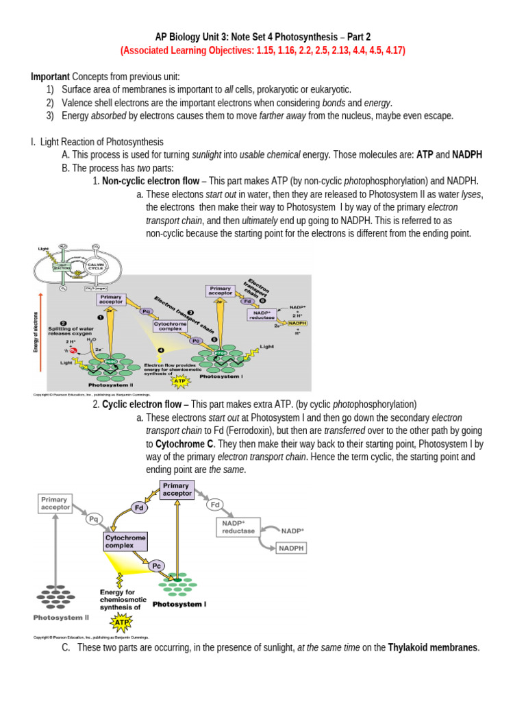 Unit 3 Note Set 4 AP Biology Photosynthesis Part 2 | PDF ...
