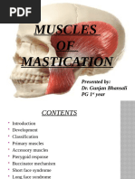 Dogfish Mouth Muscles Overview | PDF | Pelvis | Mouth
