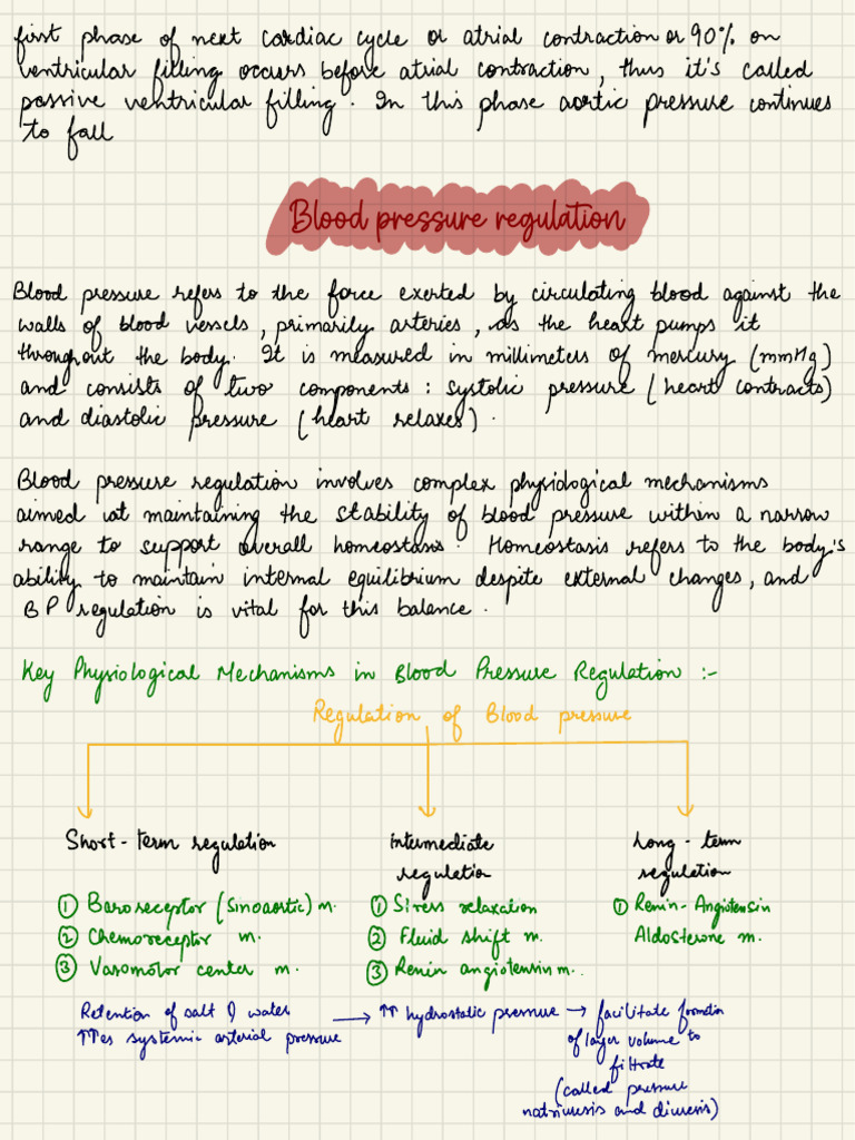Blood Pressure Regulations and Physiological Changes | PDF | Medical ...