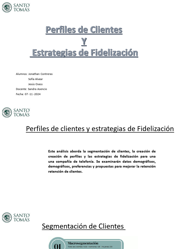 Perfiles de Clientes y Estrategias de Fidelizacion | PDF