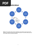 Heart Rates Lab | PDF | Heart Rate | Experiment