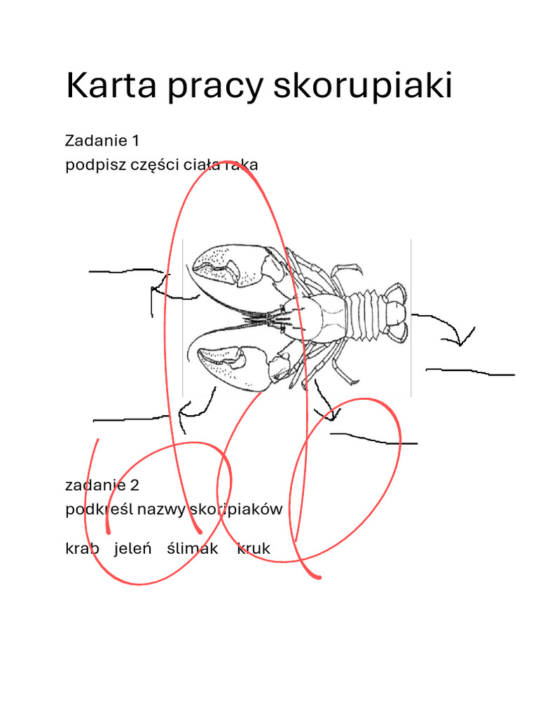 Dokument (2) - Kopia | PDF