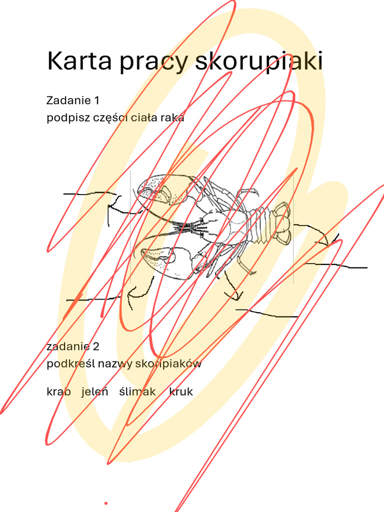 Dokument (5) - Kopia | PDF