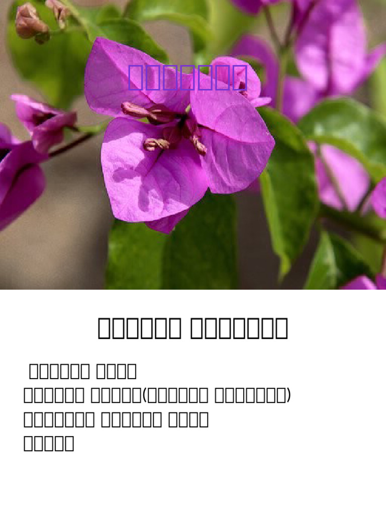 Botany Class-Part 5 (PowerPoint) | PDF