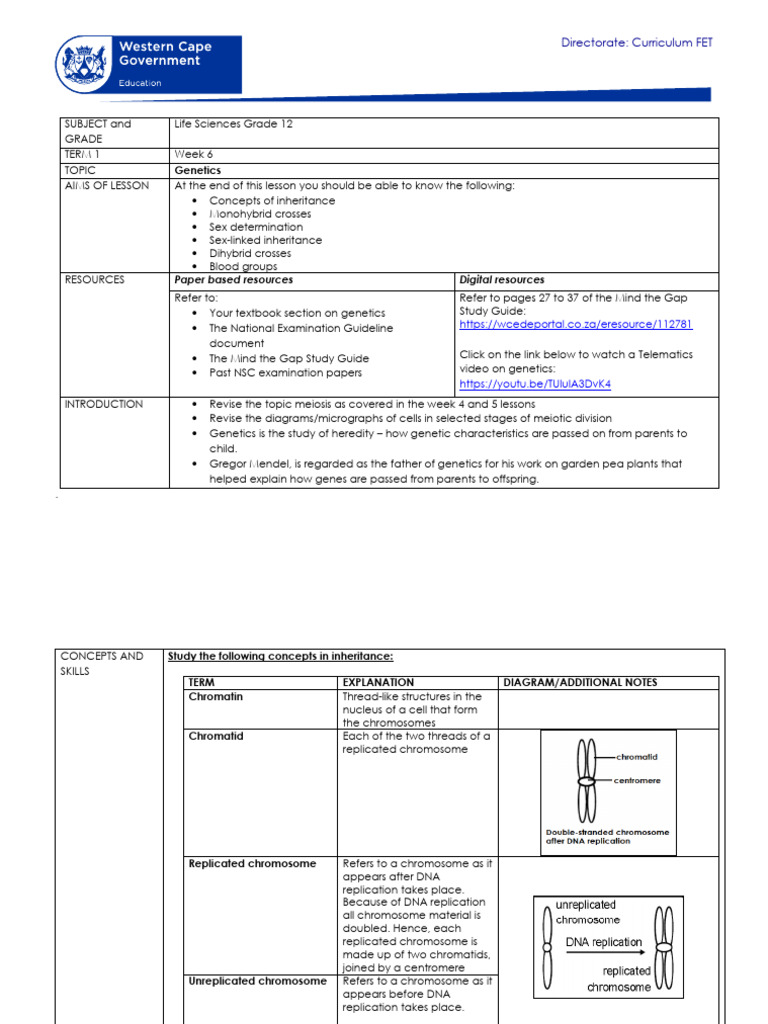 Grade 12 Genetics Lesson Plan | PDF | Dominance (Genetics) | Allele