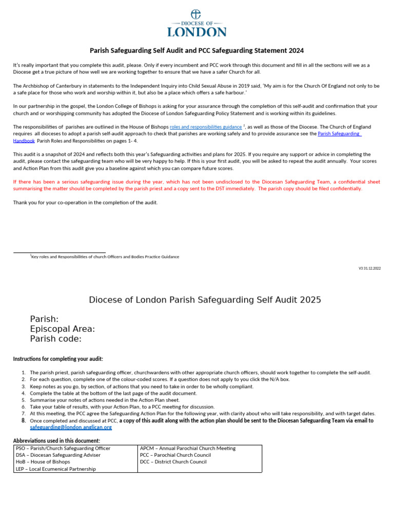 Parish Safeguarding Audit 2024 | PDF | Diocese | Church Of England