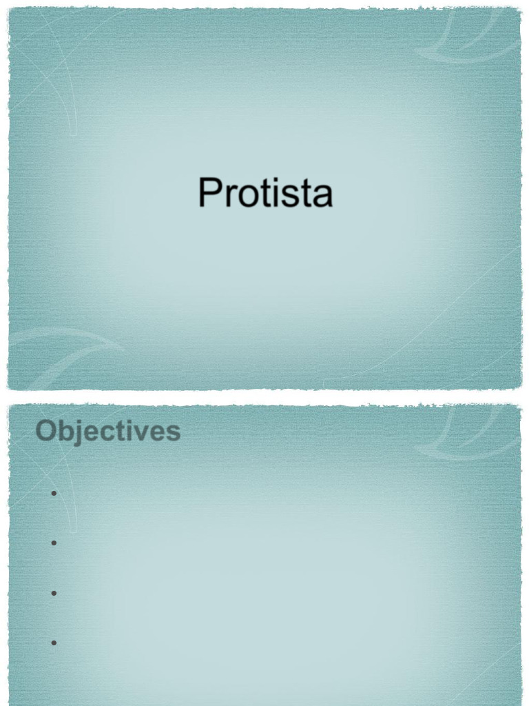 Lab 2 Protists Pdf Algae Sexual Reproduction