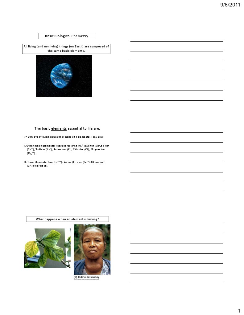 101 Lecture2 Blackboard | PDF