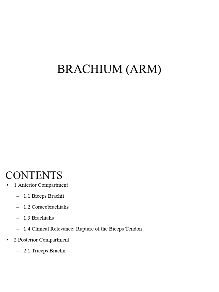 Muscles of The Arm | PDF | Arm | Elbow