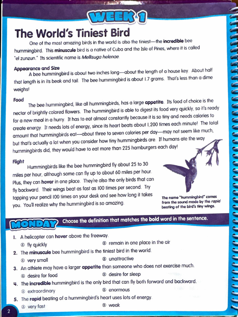 Daily Reading Comprehension Journal GR 4 | PDF