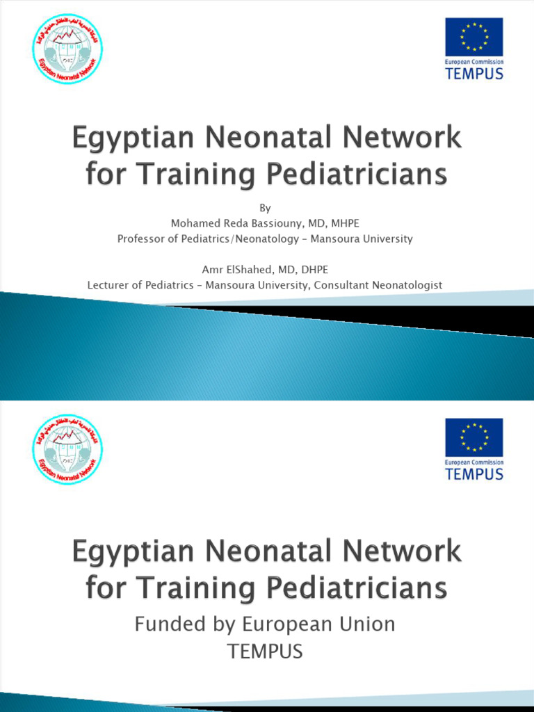 Enhancing Neonatal Care in Egypt | PDF | Neonatology | Neonatal Intensive Care Unit
