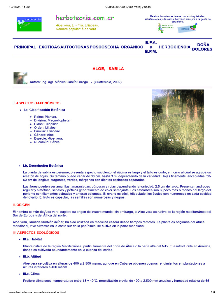 Cultivo de Aloe (Aloe Vera) y Usos | PDF | Suelo | Hoja