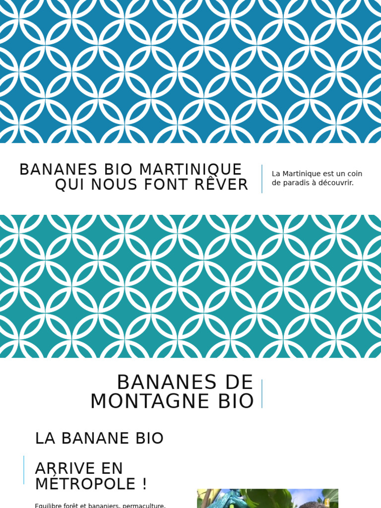Mos2016 Projet6 | PDF