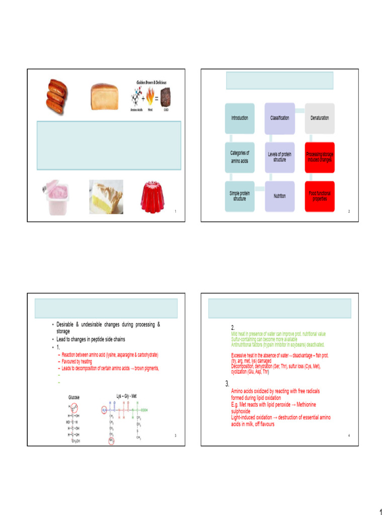 4 - 4 Food Proteins - Processing Changes | PDF | Taste | Gelatin