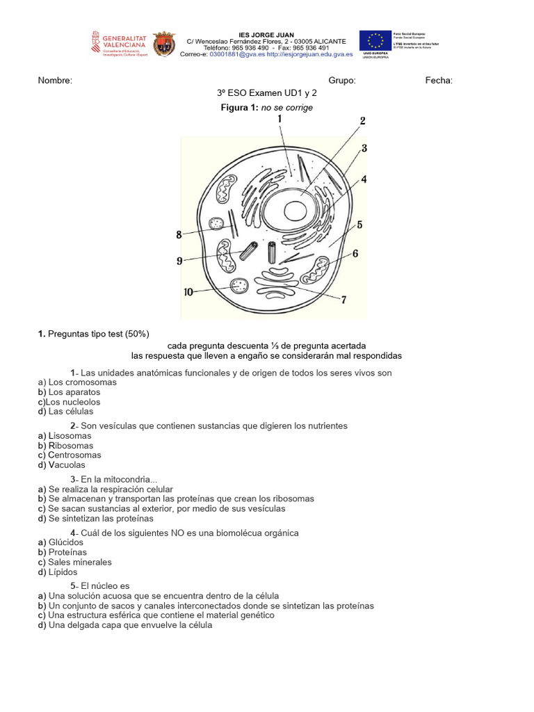 Examen UD1 y 2 | PDF | Citoplasma | Biología Celular)