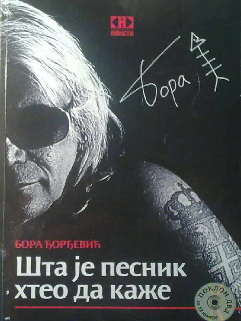 Bora-Djordjevic-Sta Je Pesnik Hteo Da Kaze | PDF