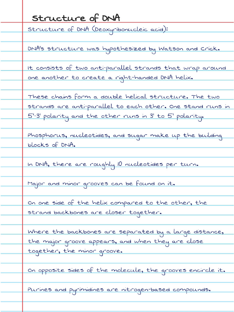 DNA Double Helix | PDF