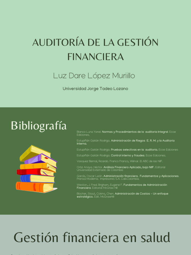 AUDITORIA DE LA GESTION FINANCIERA | PDF | Auditoría | Contabilidad