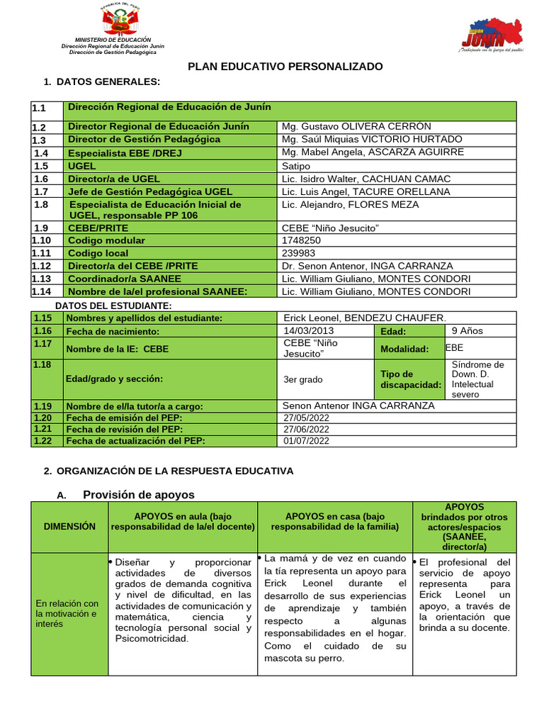 FORMATO PEP ADECUADO DREJUNIN Erick Leonel | PDF | Aprendizaje | Maestros