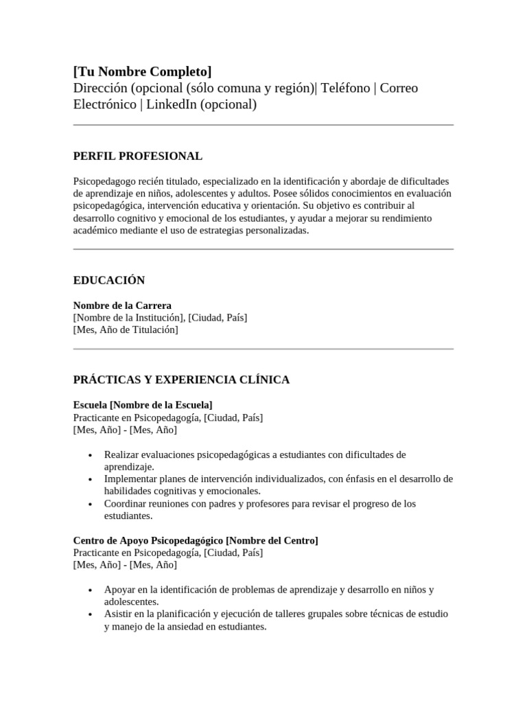 Formato CV Sin - Exp | PDF