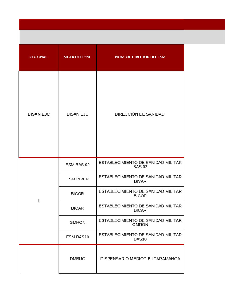 Formatos Directorio 2024 Ejc - Usuarios | PDF