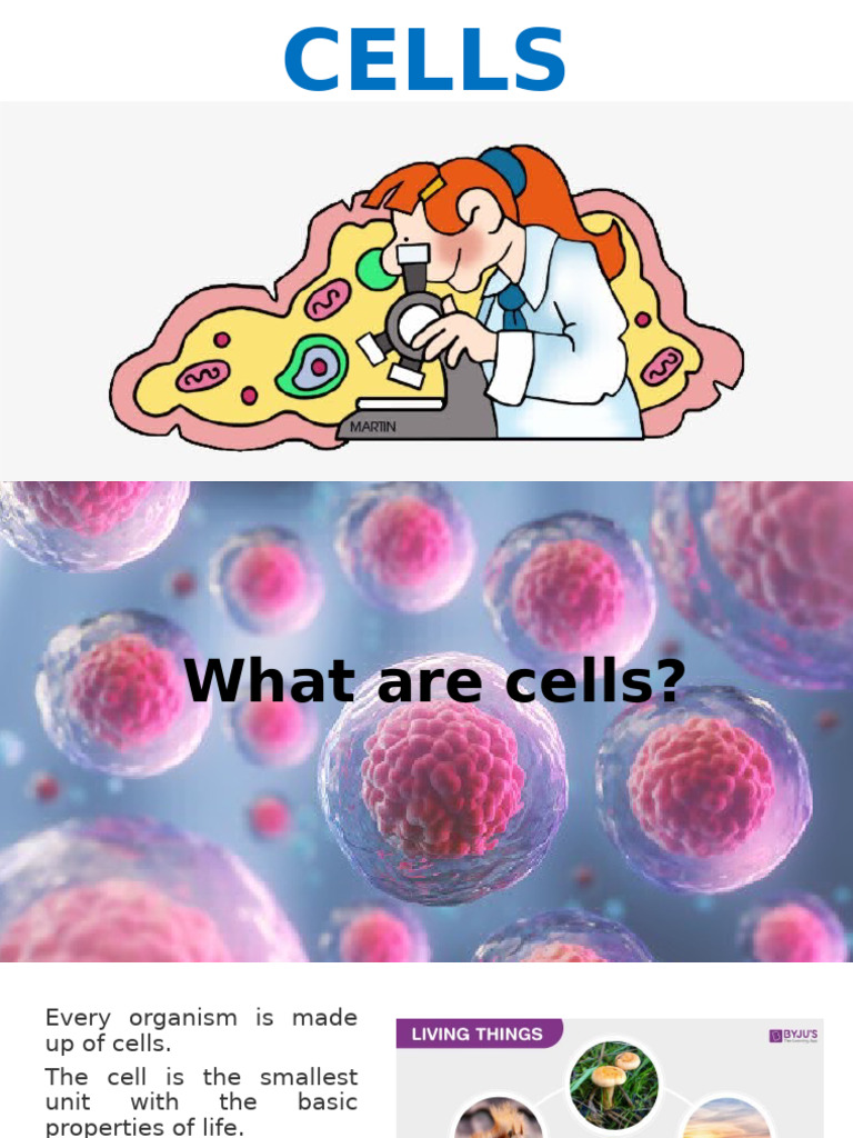 Intro To Cells | PDF | Science & Mathematics