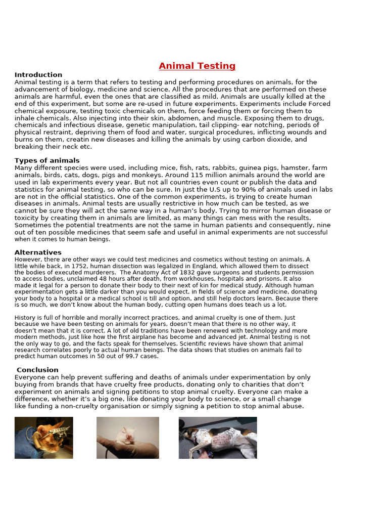 Animal Testing (CAT 3) Updated | PDF | Animal Testing | Toxicity