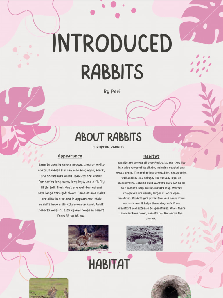 Introduced Rabbits | PDF