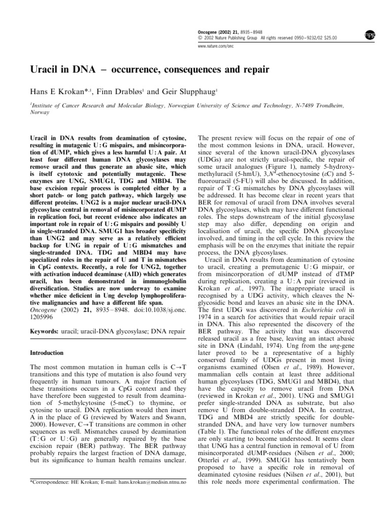 Uracil in DNA - Occurrence, Consequences and Repair | PDF | Dna | Base Pair