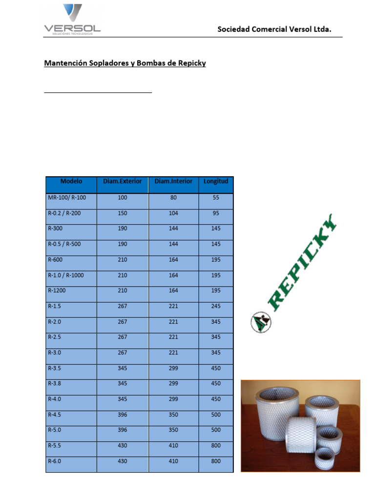 Manual de Mantenimiento Repicky R200 | PDF | Tecnologías de gas | Gases