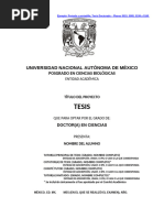 RFC Unam | PDF