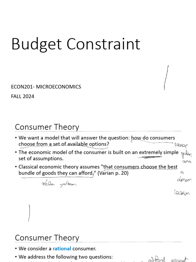 Budget Constraint | PDF | Consumption (Economics) | Ad Valorem Tax
