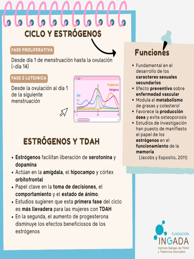 Estrógenos y TDAH en el Ciclo Menstrual | PDF | Menstruación | Estrógeno