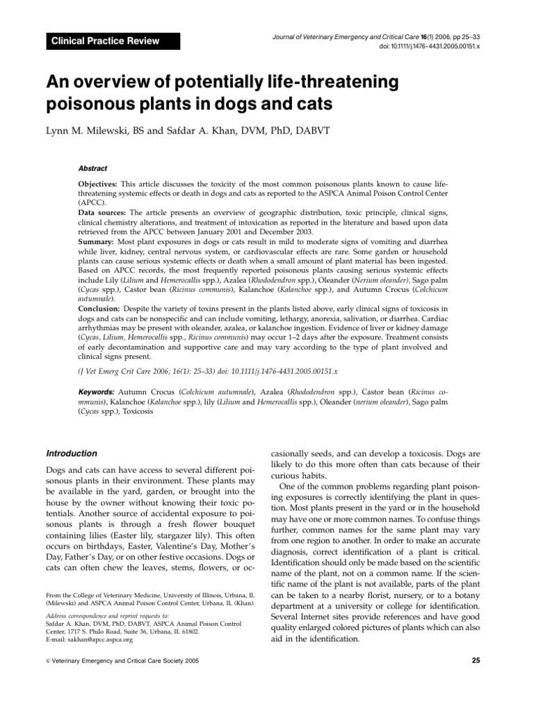 Intox Planta Toxica Lirio | PDF | Lilium | Medical Specialties