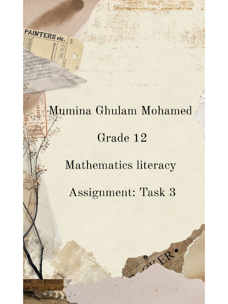 Maths Lit Assignment | PDF