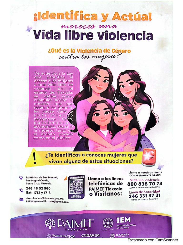 IEM Víctima de Violencia | PDF