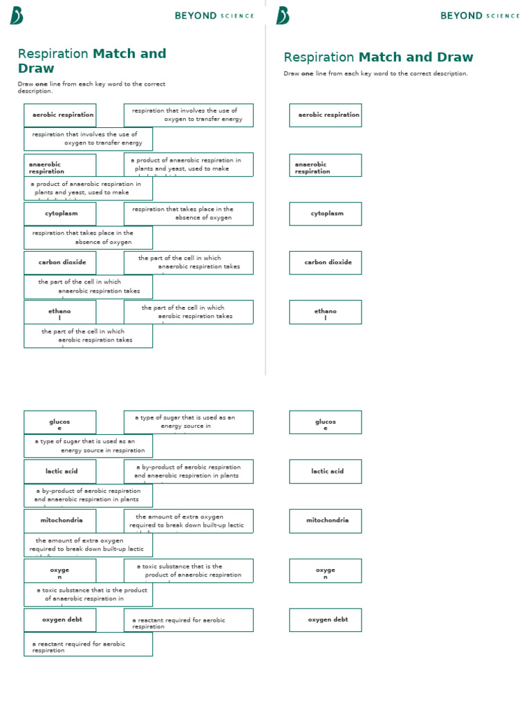 Respiration Match and Draw | PDF | Cellular Respiration | Chemistry