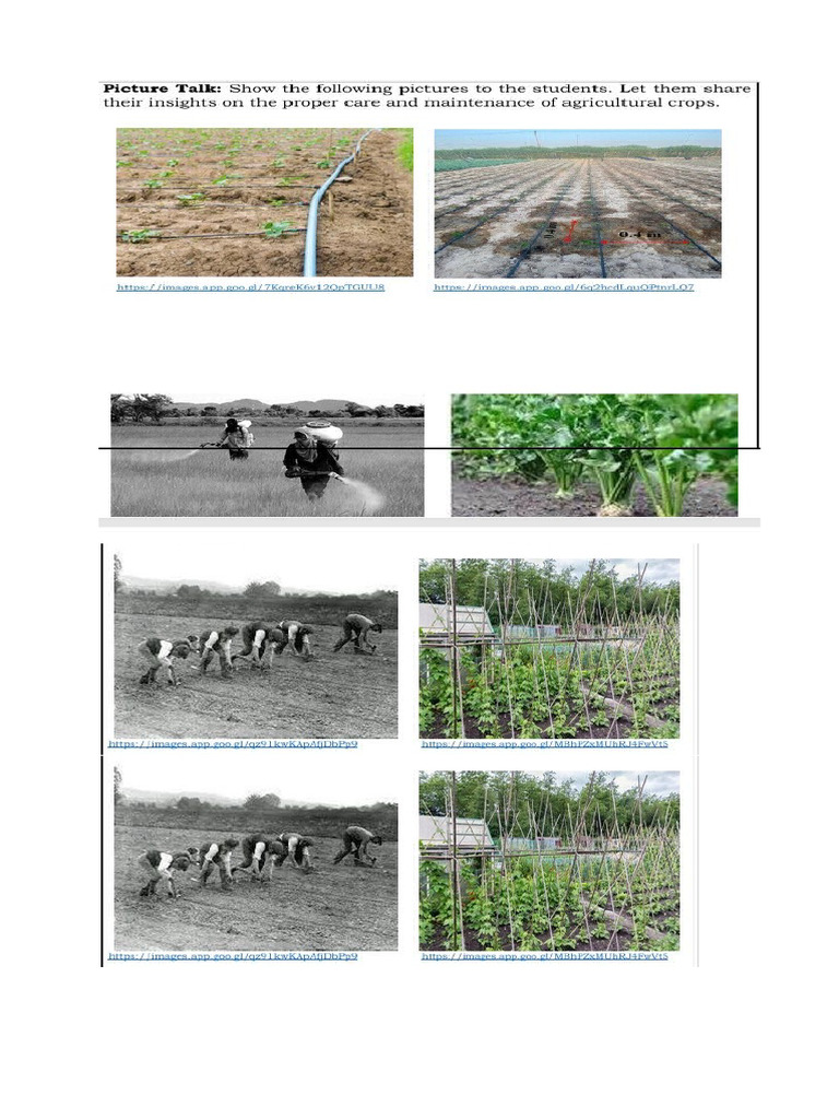 ACTIVITY TLE 7 | PDF