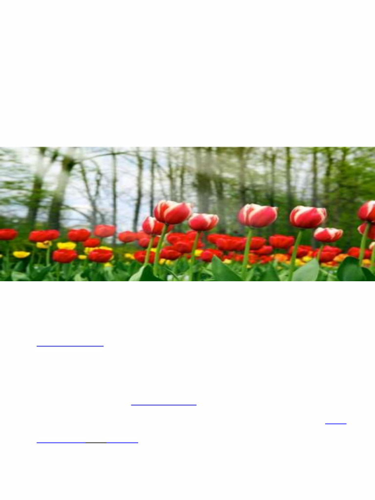 Co2 Effect - Ekofis | PDF