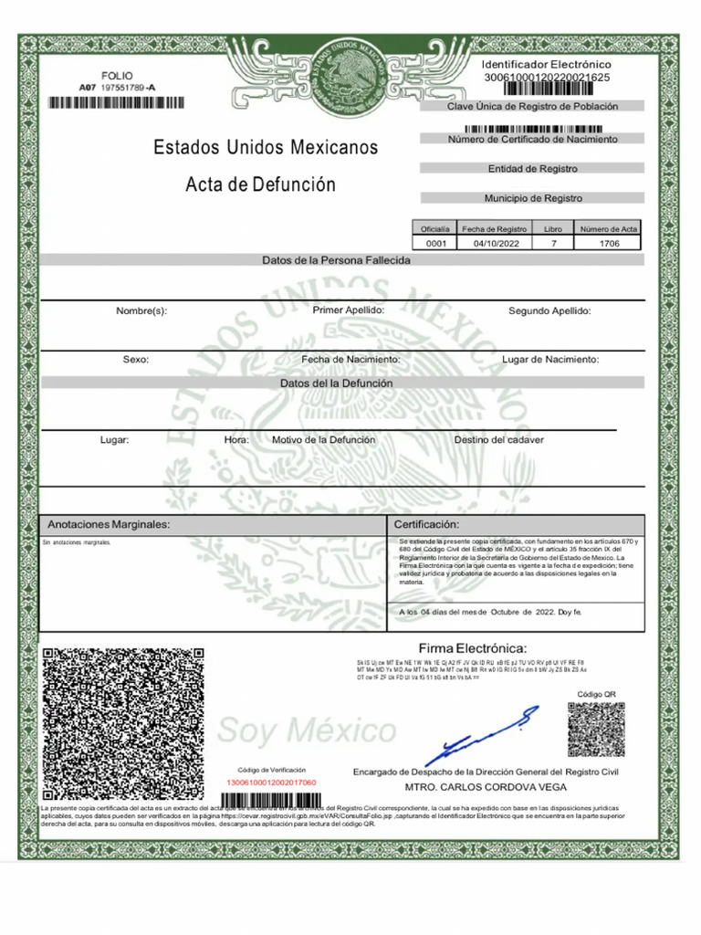 Modelo de Acta de Defunción | PDF