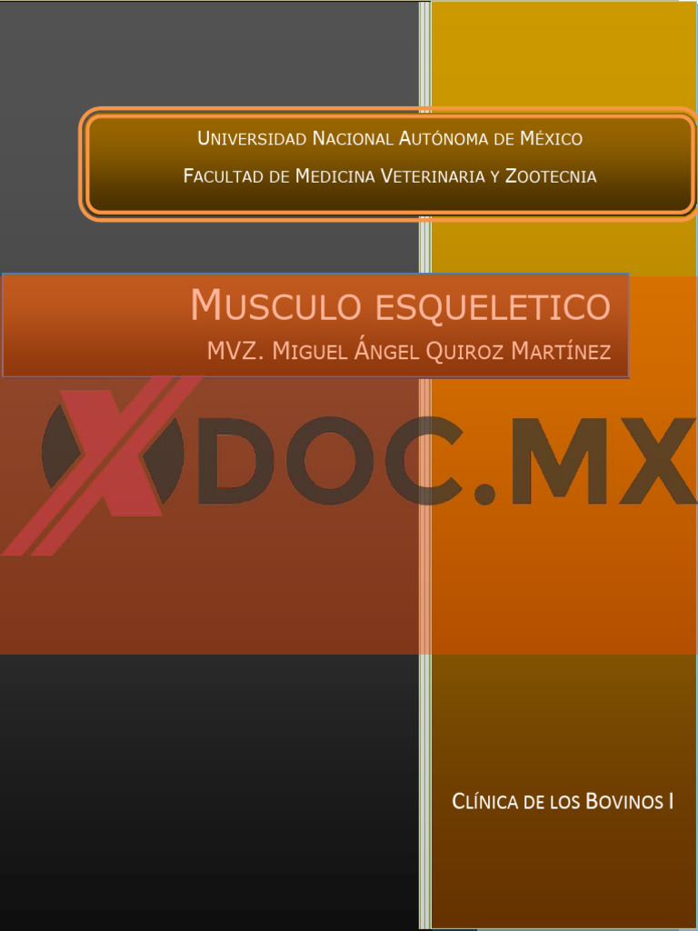 Xdoc - MX Musculo Esqueletico | PDF | Ántrax | Especialidades Medicas