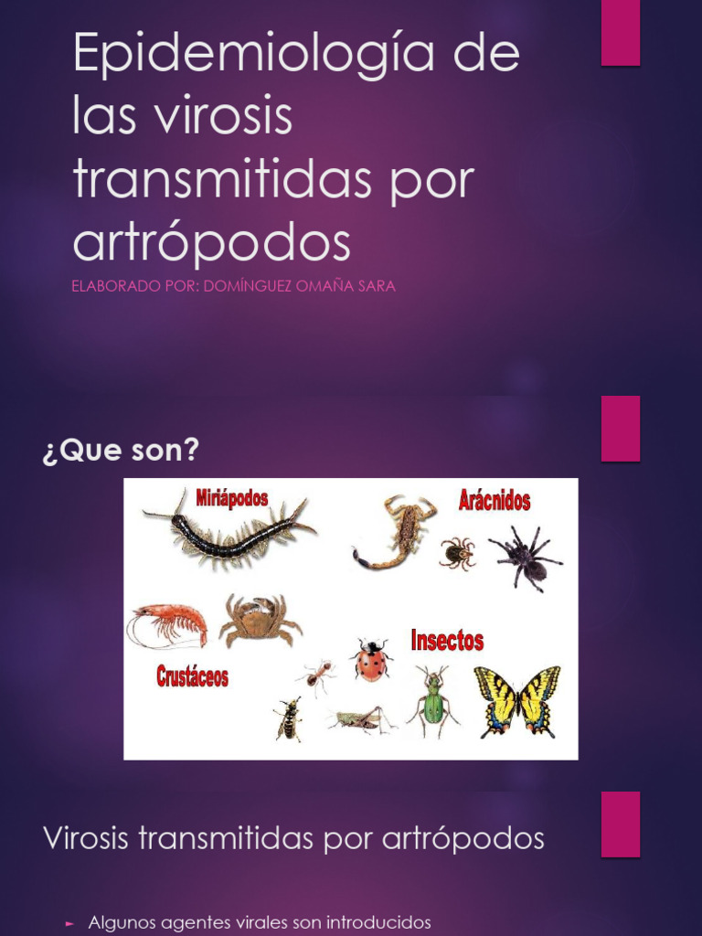 Epidemiologia de Las Virosis Transmitidas Por Artrópodos | PDF | Virus ...