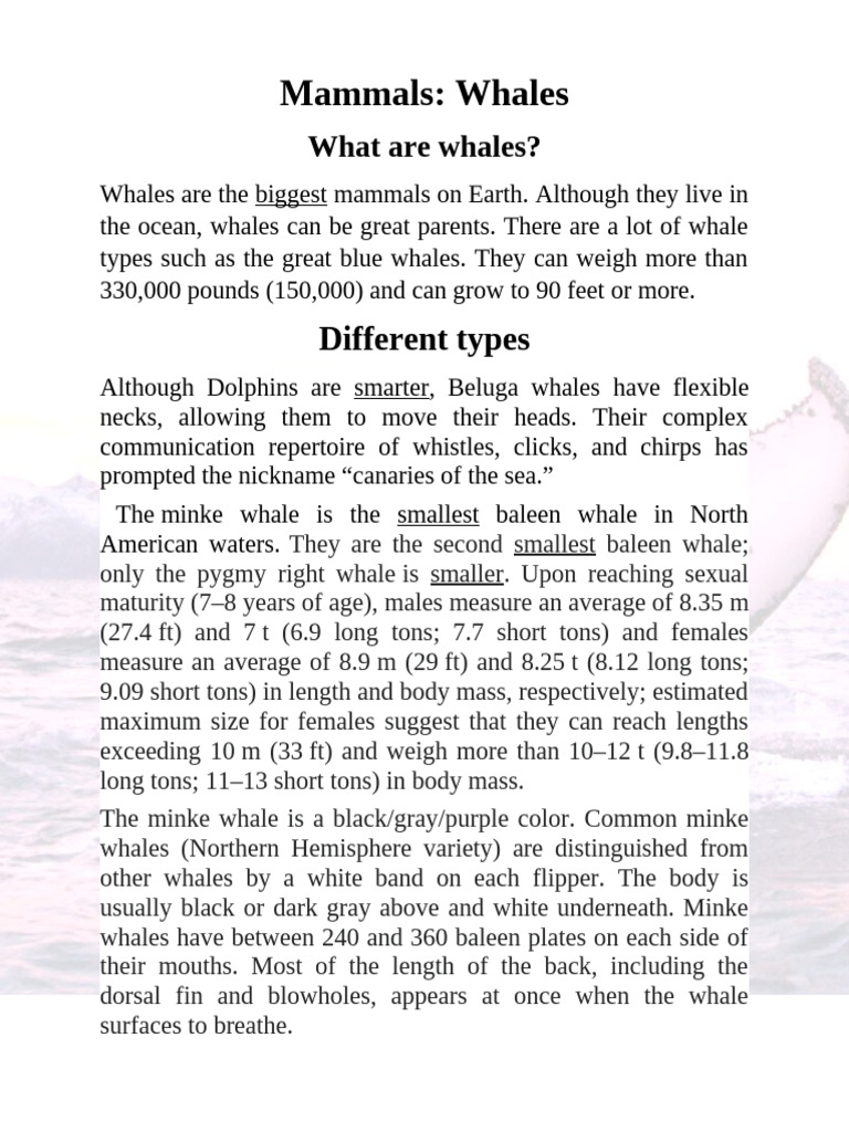 Mammals, Whales | PDF | Whales | Aquatic Mammals