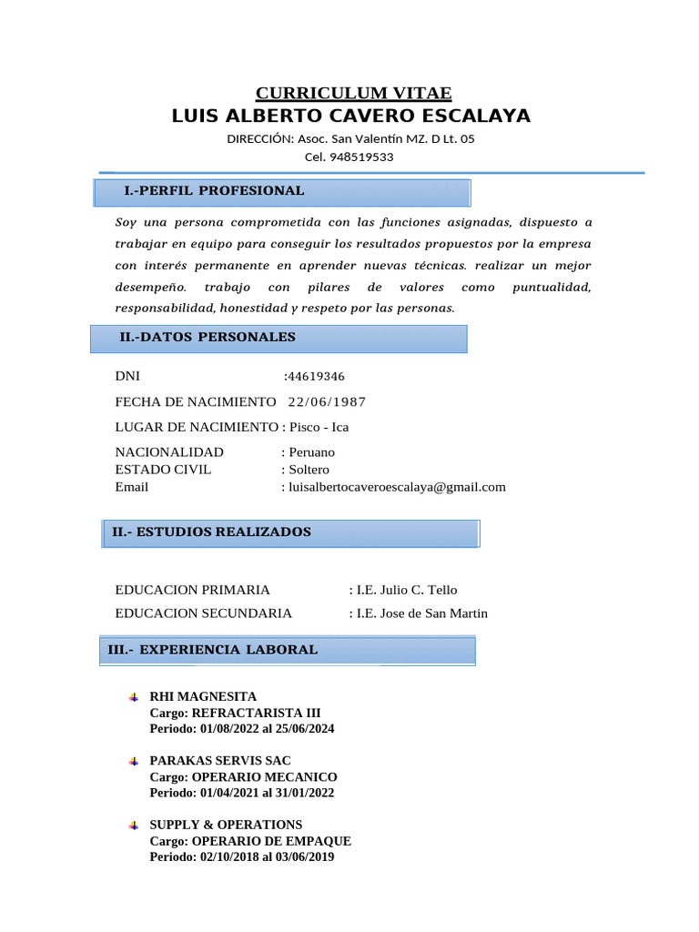 CURRICULUM VITA1LUIS ALBERTO CAVERO ESCALAYA | PDF